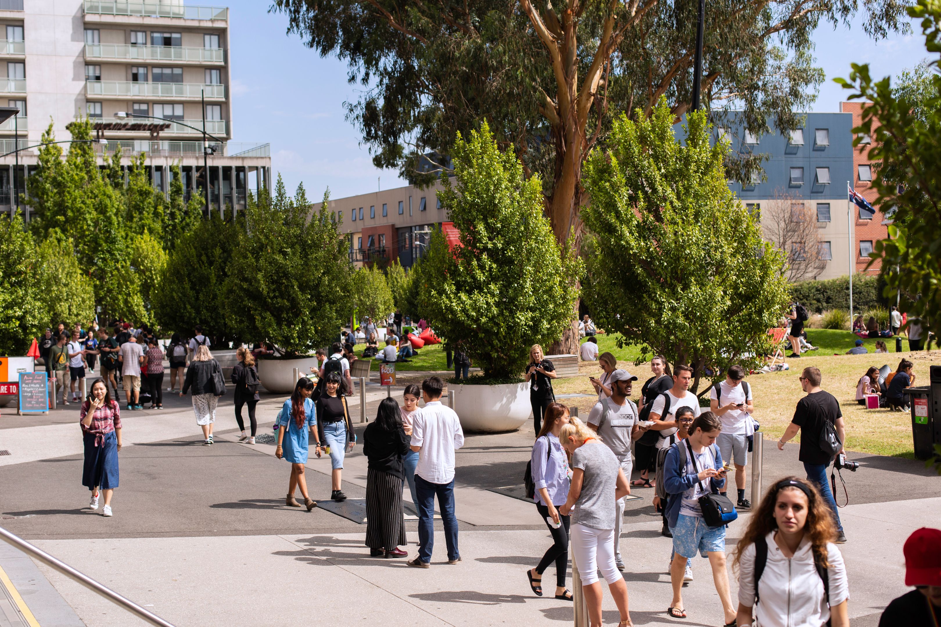 Swinburne University of Technology, Bachelor of Animation | You Apply