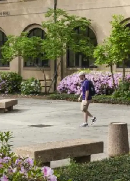 Louisiana State University in USA | You Apply